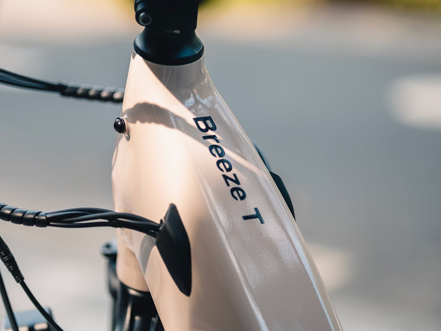 Breeze T Torque Sensor Electric Bike