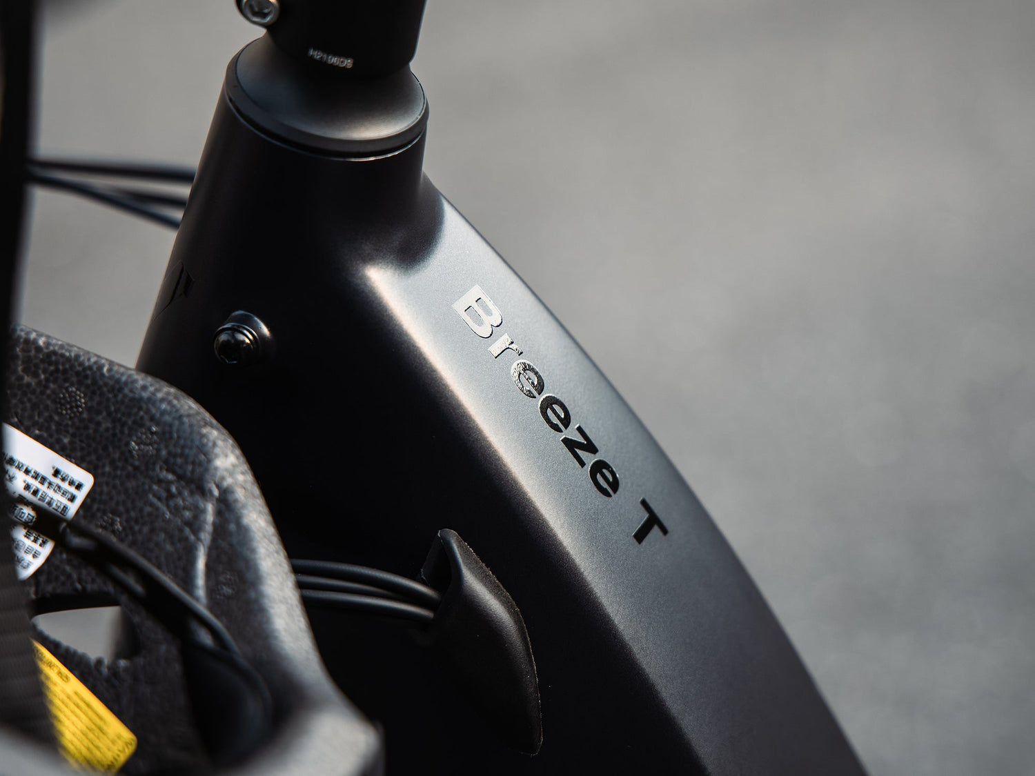 Breeze T Torque Sensor Electric Bike