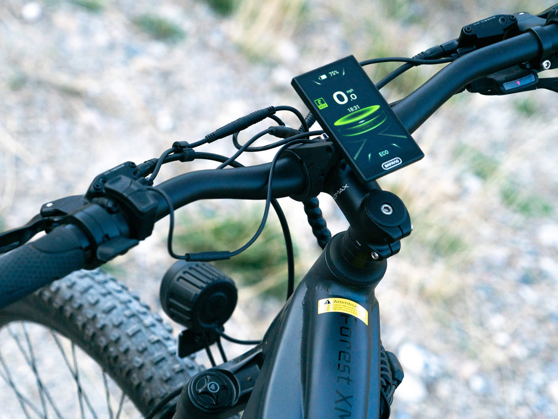 Forest XM MTB – VELOWAVE