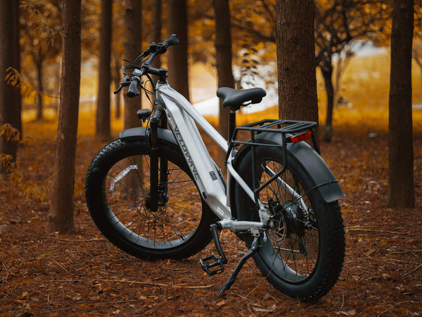 Long Ranger Fat Tire Ebike Made To Conquer Any Terrain – VELOWAVE